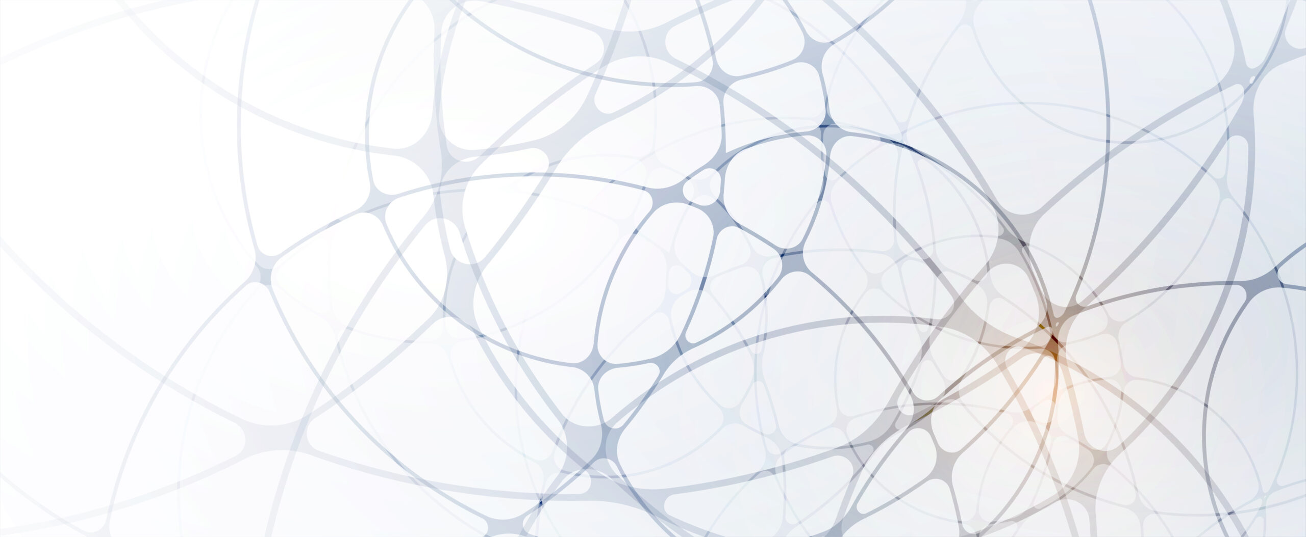 Business, Technology & Talent Insights | Axiom Path